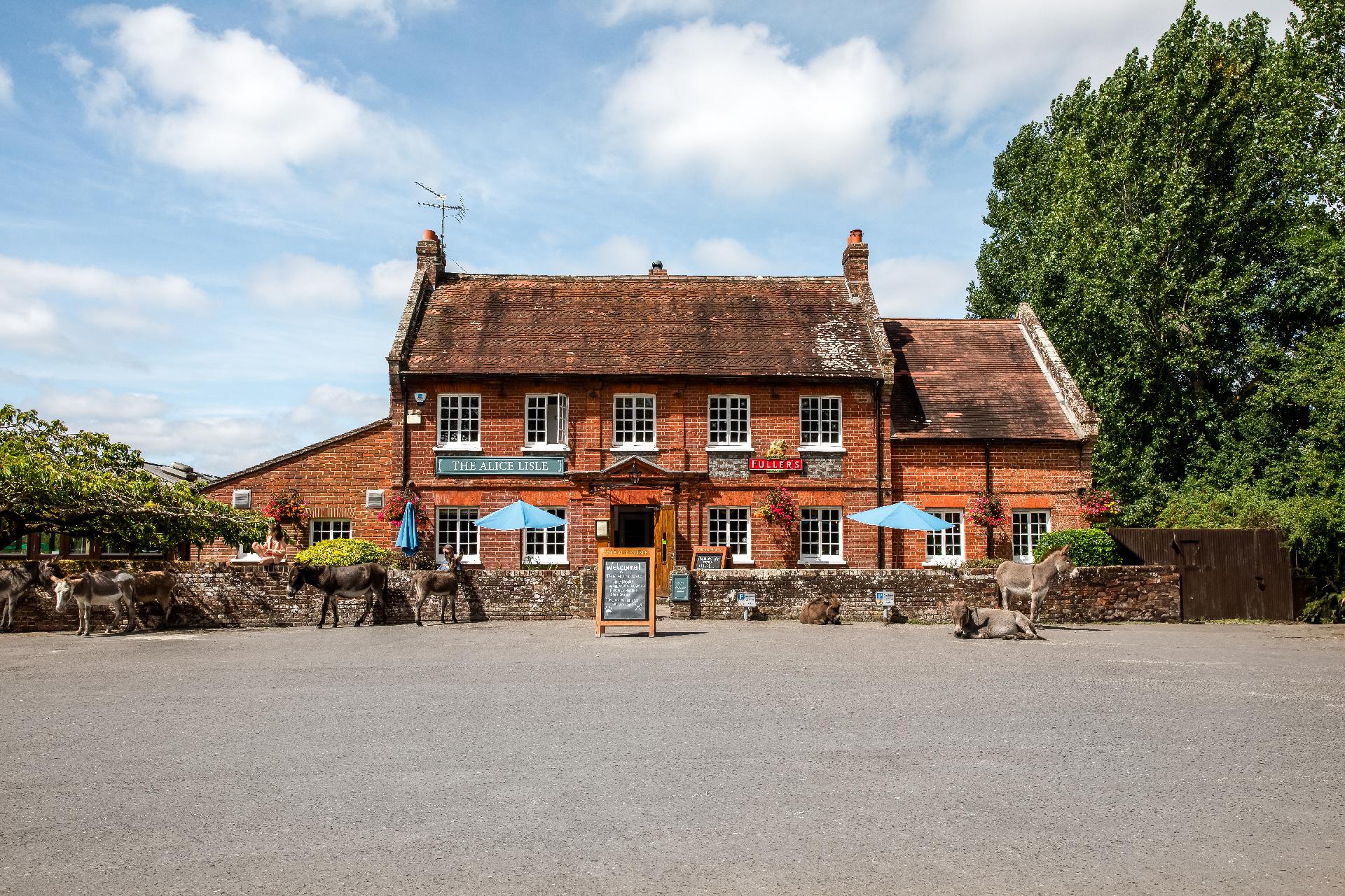 The Alice Lisle - Fuller's Pub and Restaurant in Ringwood